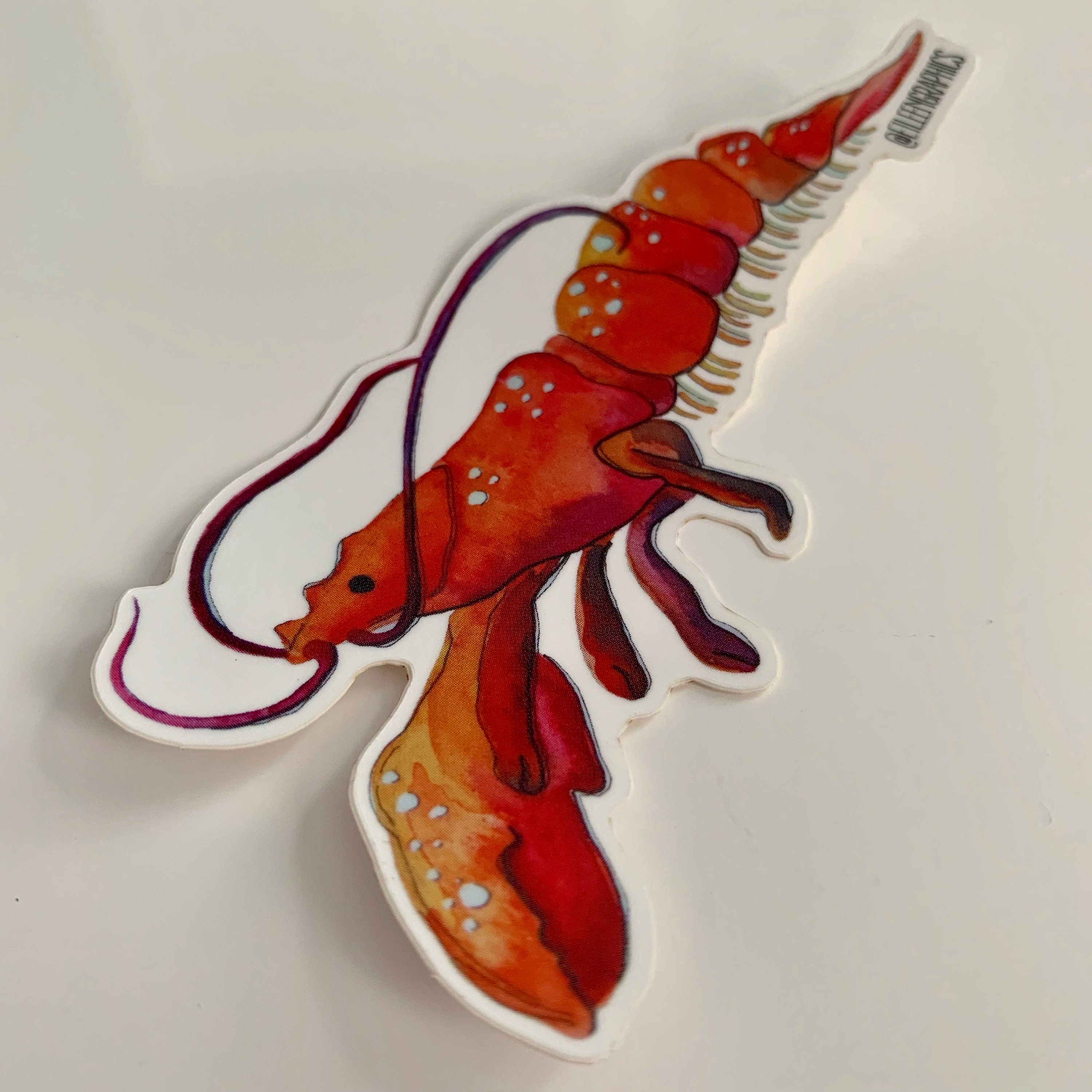 Eileen Graphics Lobster Sticker Designed in Newport RI - Etsy