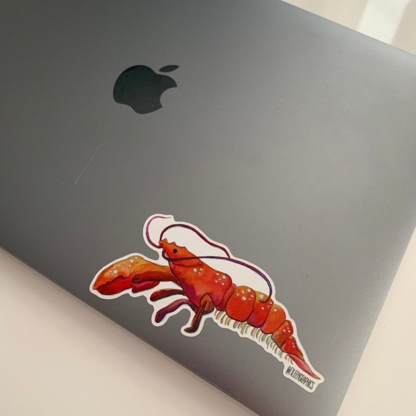 Eileen Graphics Lobster Sticker | Designed in Newport, RI | Small Gift ...