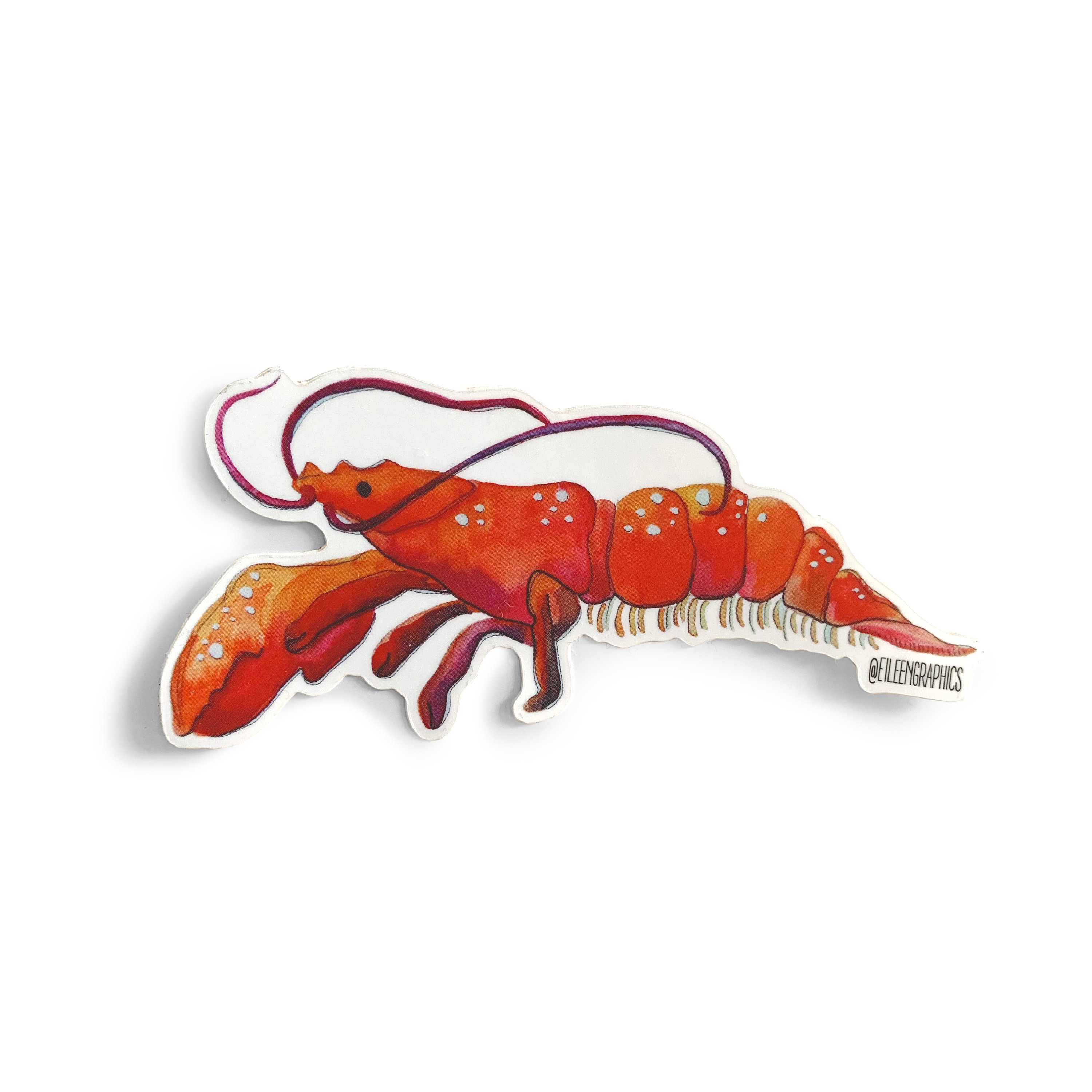 Eileen Graphics Lobster Sticker | Designed in Newport, RI | Small Gift ...