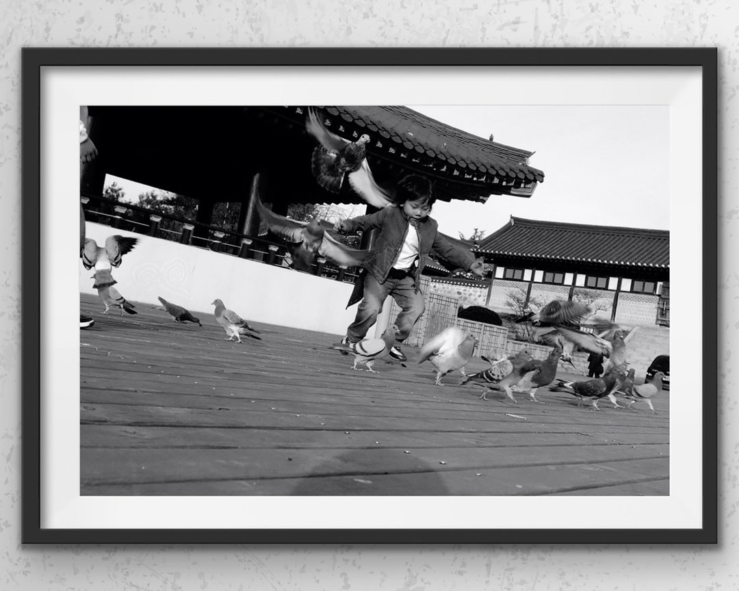 South Korea Print, Boy Chasing Birds in Seoul - Etsy