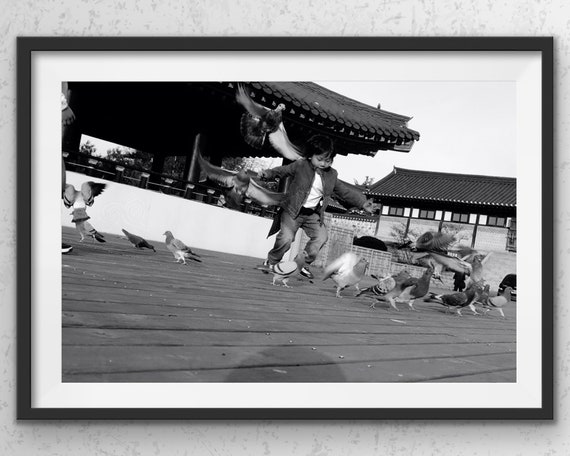 South Korea Print Boy Chasing Birds in Seoul - Etsy