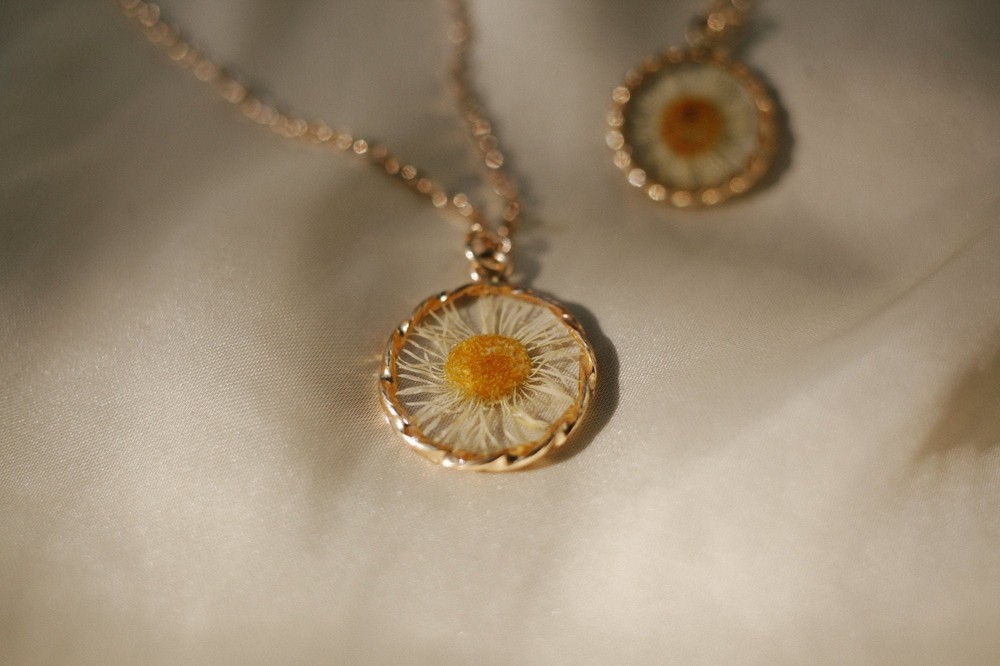 Real Daisy Flower Necklace Pressed Flower Necklace Daisy - Etsy