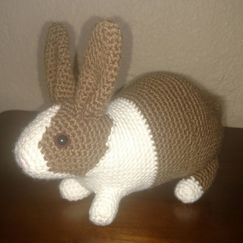Dutch Bunny - Etsy