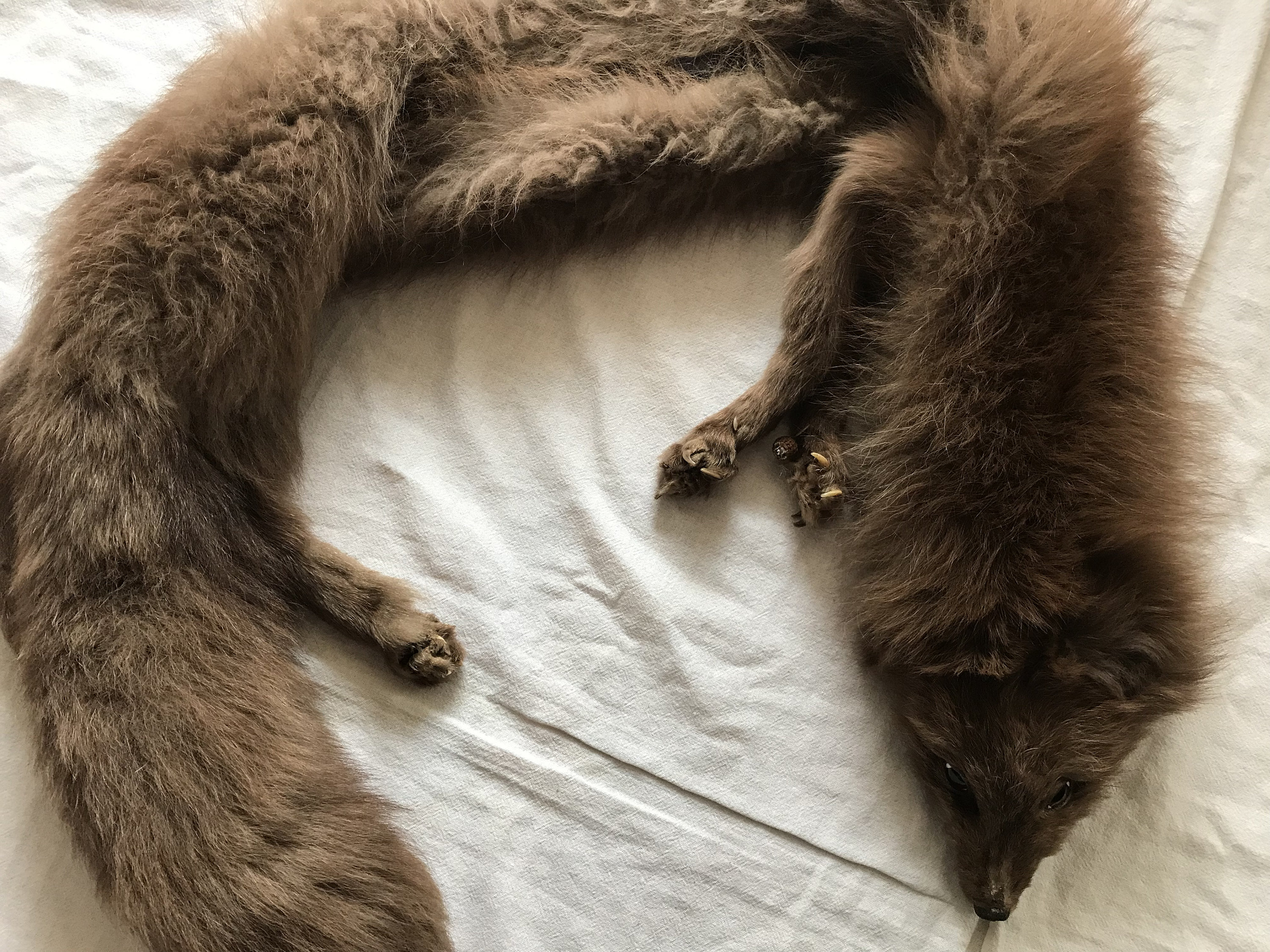 Fox Skin Fur Shawl Complete Belly Face Paws With Snap - Etsy