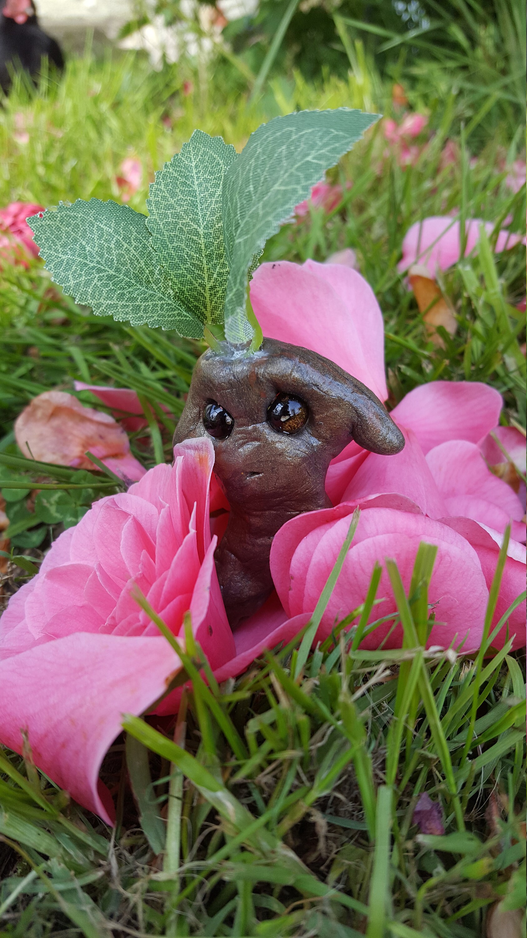 Little Mandrake - Etsy