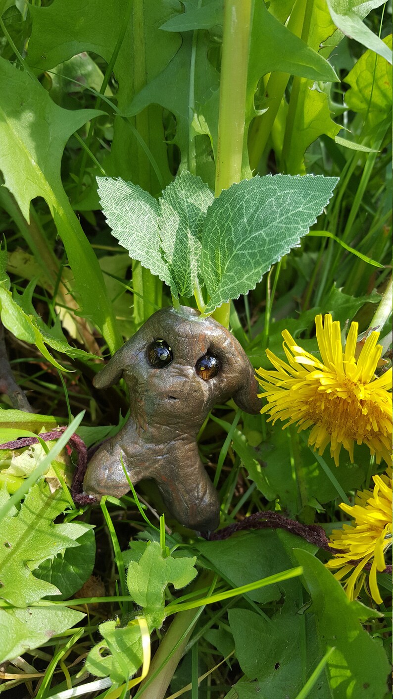 Little Mandrake - Etsy
