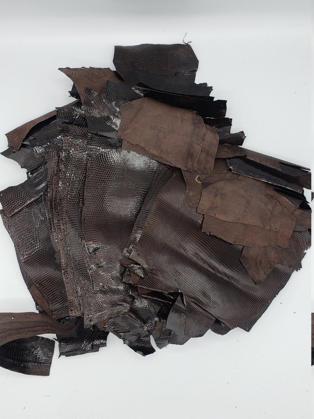 Dark Brown Exotic Leather Lizard Hide, Full Lizard Hide - Etsy