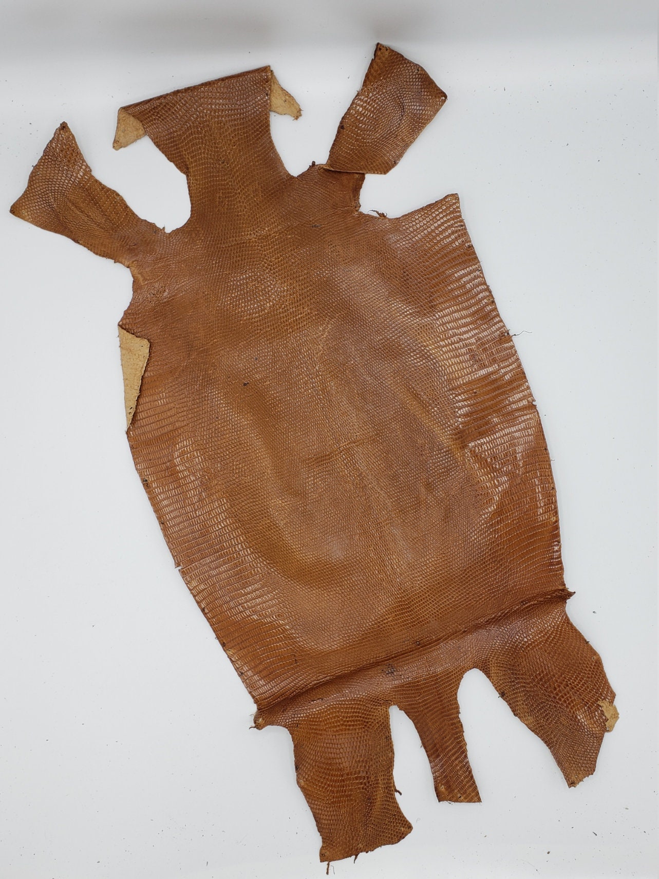 Large Tan/brown Exotic Leather Lizard Hide, Full Lizard Hide - Etsy