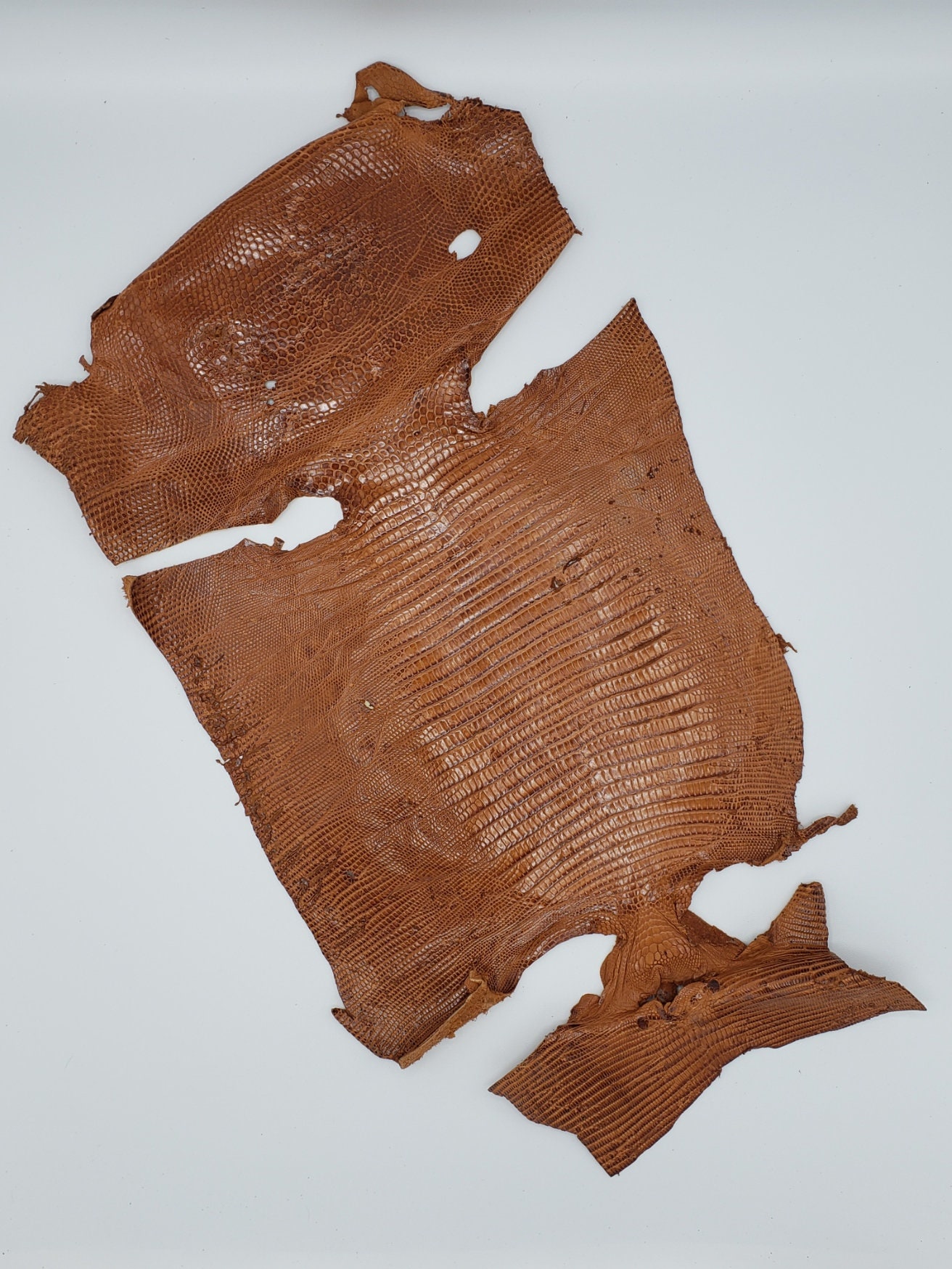 Tan/light Brown Exotic Leather Lizard Hide Full Cutter Lizard | Etsy