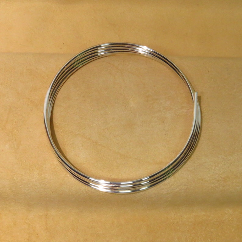 Golden State Silver 9999 Pure Silver Wire 10 Gauge (.101") 6-foot Coil ...