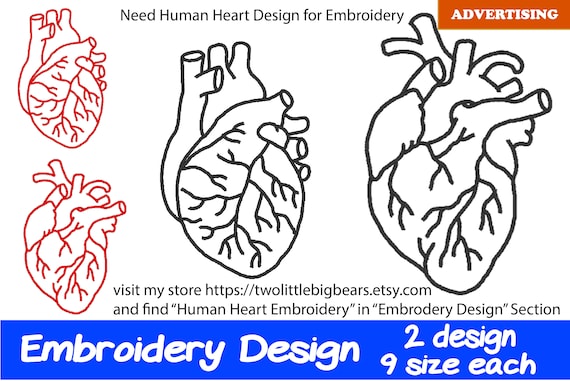Disegno Del Cuore Reale - Disegni HD