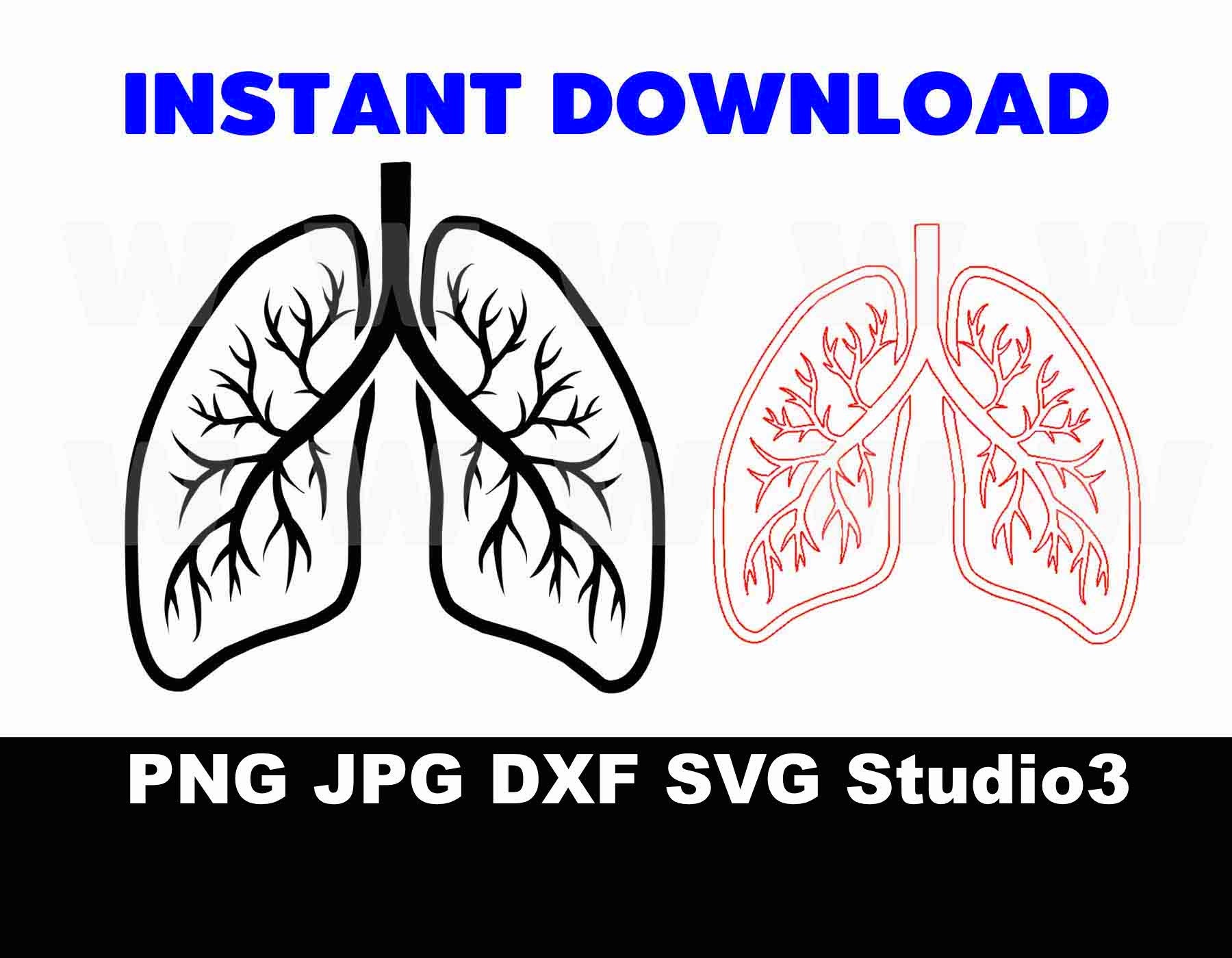 Lung JPG SVG DXF Studio3 Cutting File Printing Commercial | Etsy