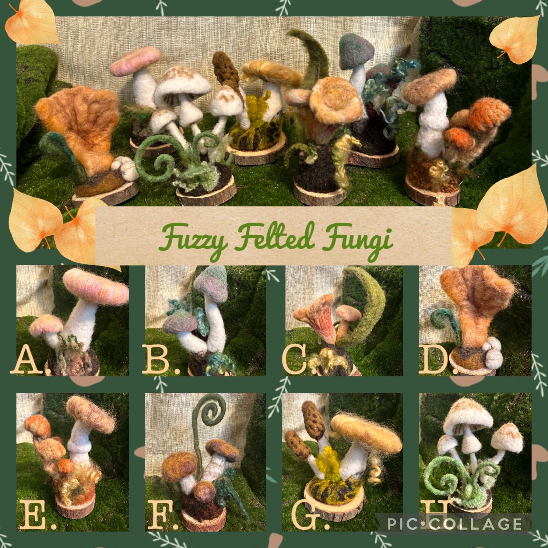 Fuzzy Felted Fungi - Etsy