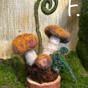 Fuzzy Felted Fungi - Etsy