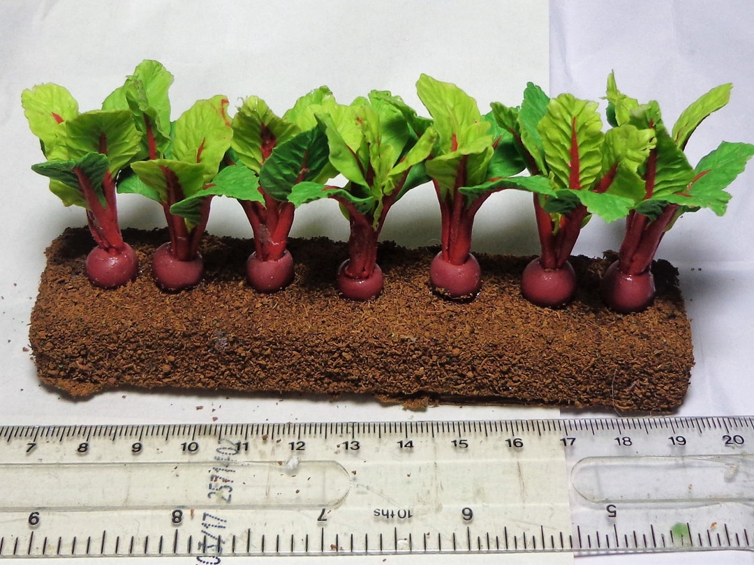 1:12 Scale Growing Beetroots Dolls House Miniature Vegetable .garden - Etsy