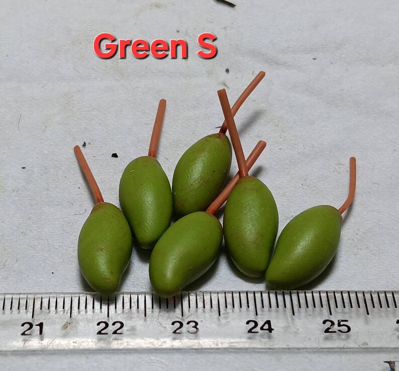 1;12 Scale Mangoes, Sweet Mangoes Dollhouse Miniature Fruit - Etsy