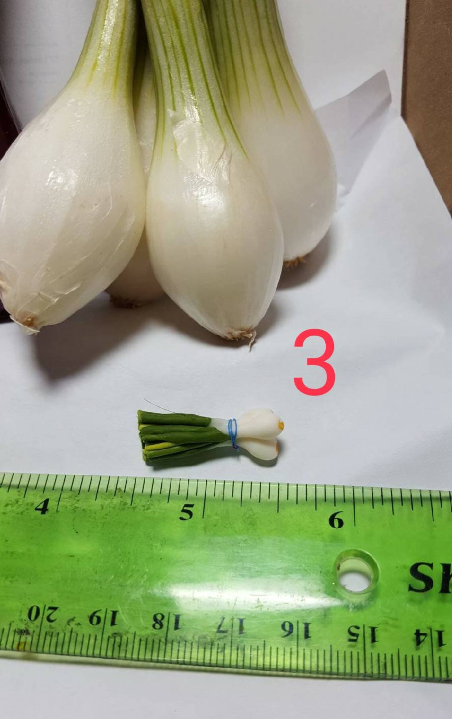 1;12 Scale Spring Onion Dolls House Miniature Vegetable, Garden - Etsy