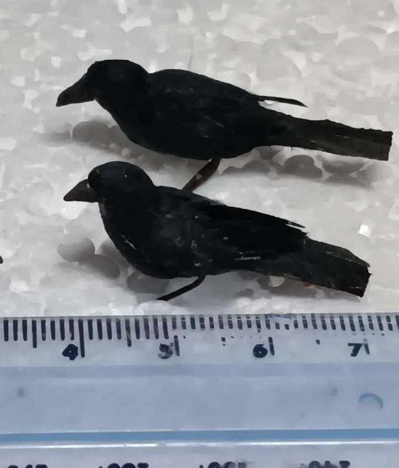 Handmade Miniature Raven Bird, 1:12 Scale - Etsy