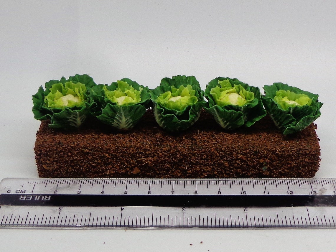 112 Scale Growing Cauliflower Miniatures Garden - Etsy