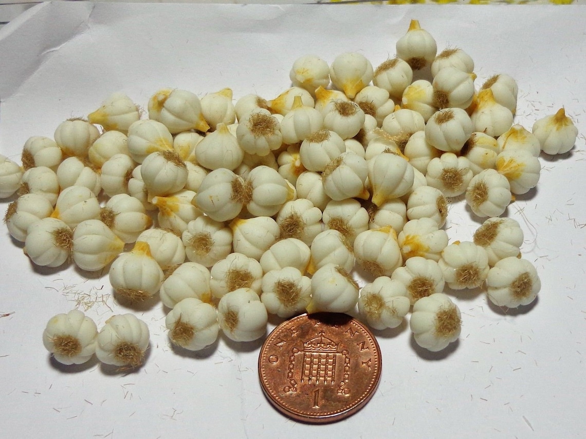 1:12 Scale Set of 10 Garlic Bulbs Dolls House Miniature Food Vegetables ...