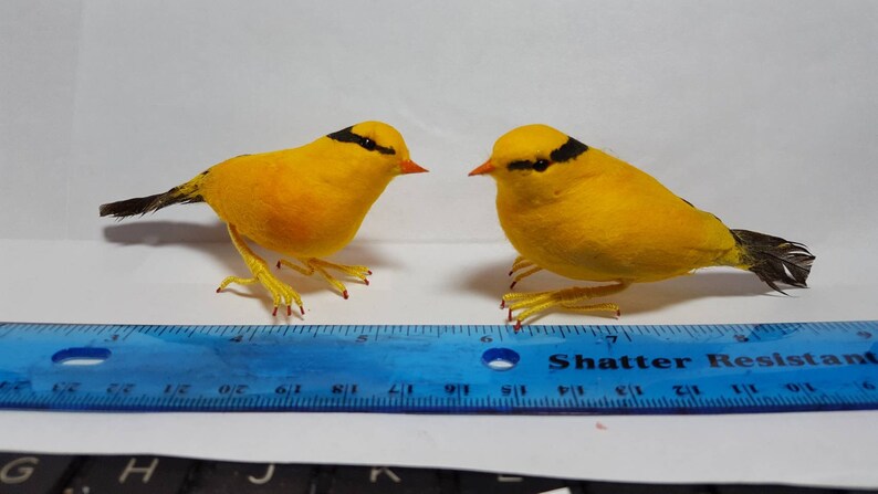 Miniatures 2 X Hand made full scale bird for decoration Dolls ...