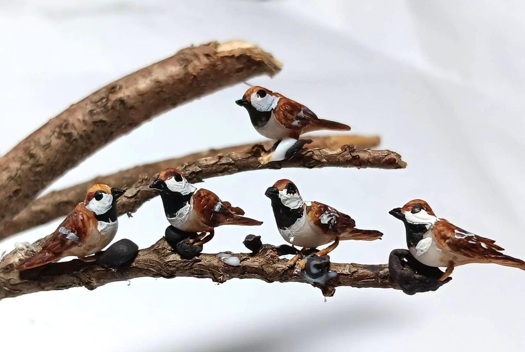 1:12 Scale Dolls House Miniature Sparrow, Garden Bird - Etsy
