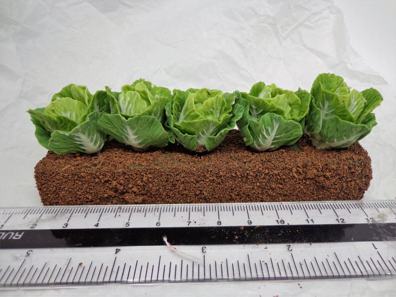 1:12th Scale Growing Cabbages Dolls House Miniature Garden - Etsy UK