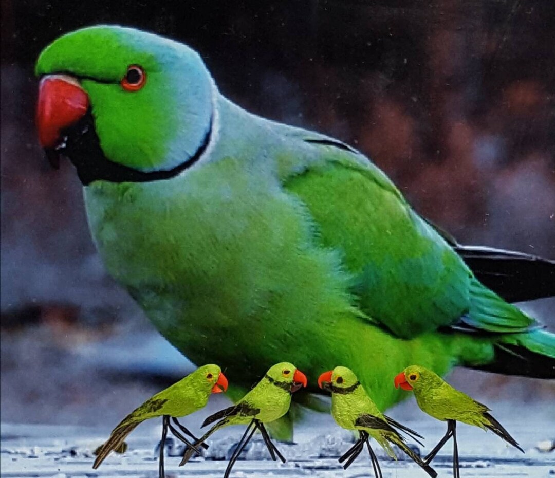 A Pair of Handmade Green Parrot Dollhouse Miniature Bird - Etsy