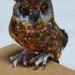 Hand Made Miniature Owl, Dolls House Miniature Owl Bird , Halloween - Etsy