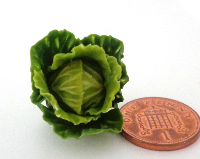 1:12 Scale A Single Cabbage Dolls House Miniature Vegetable - Etsy