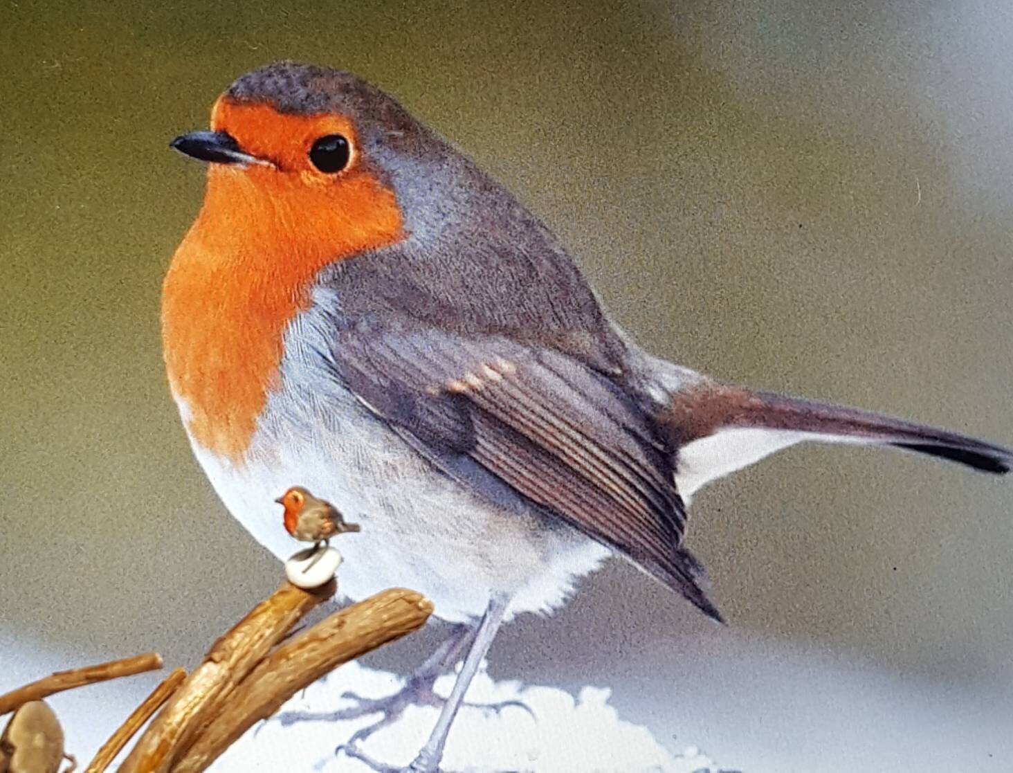 1 X Hand Made Miniature Robin Bird - Etsy UK