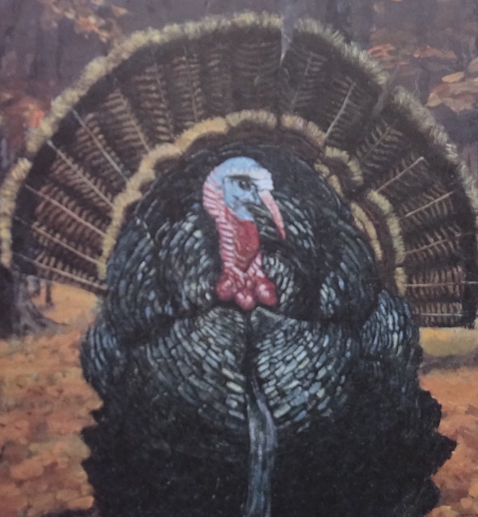 Signed Turkey Lithograph Print: Farmhouse Wildlife Art (15x19.75 Image ...