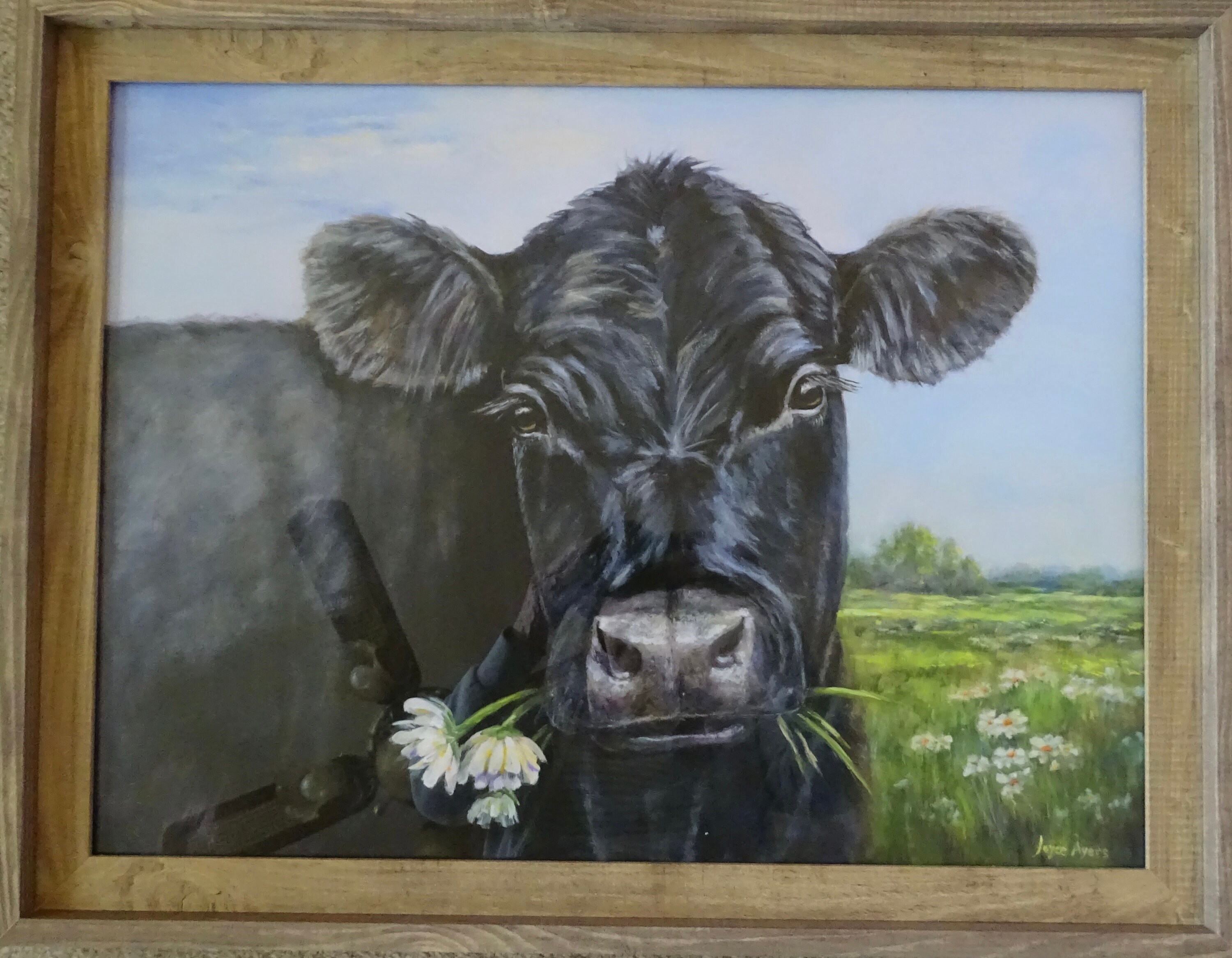 Black Cattle Art- Cow Painting- Cattle Art Print- Giclee Cow Art Print ...