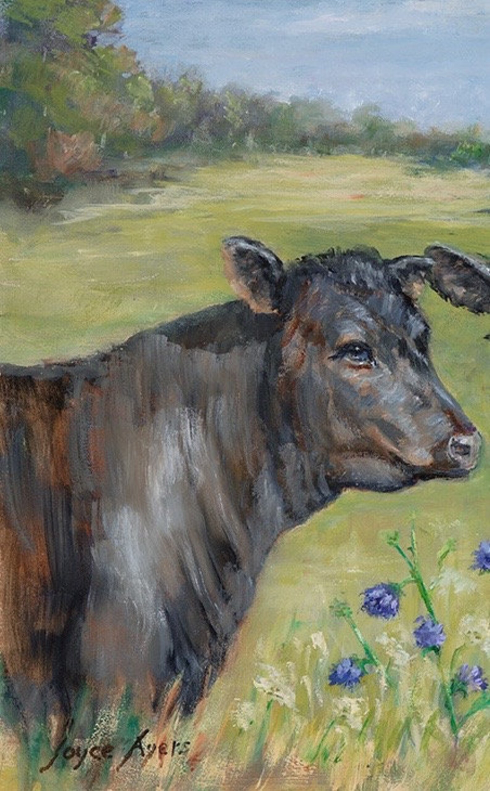 Cattle Prints- Cow Paintings-livestock Prints- Calf Art Prints-cattle ...