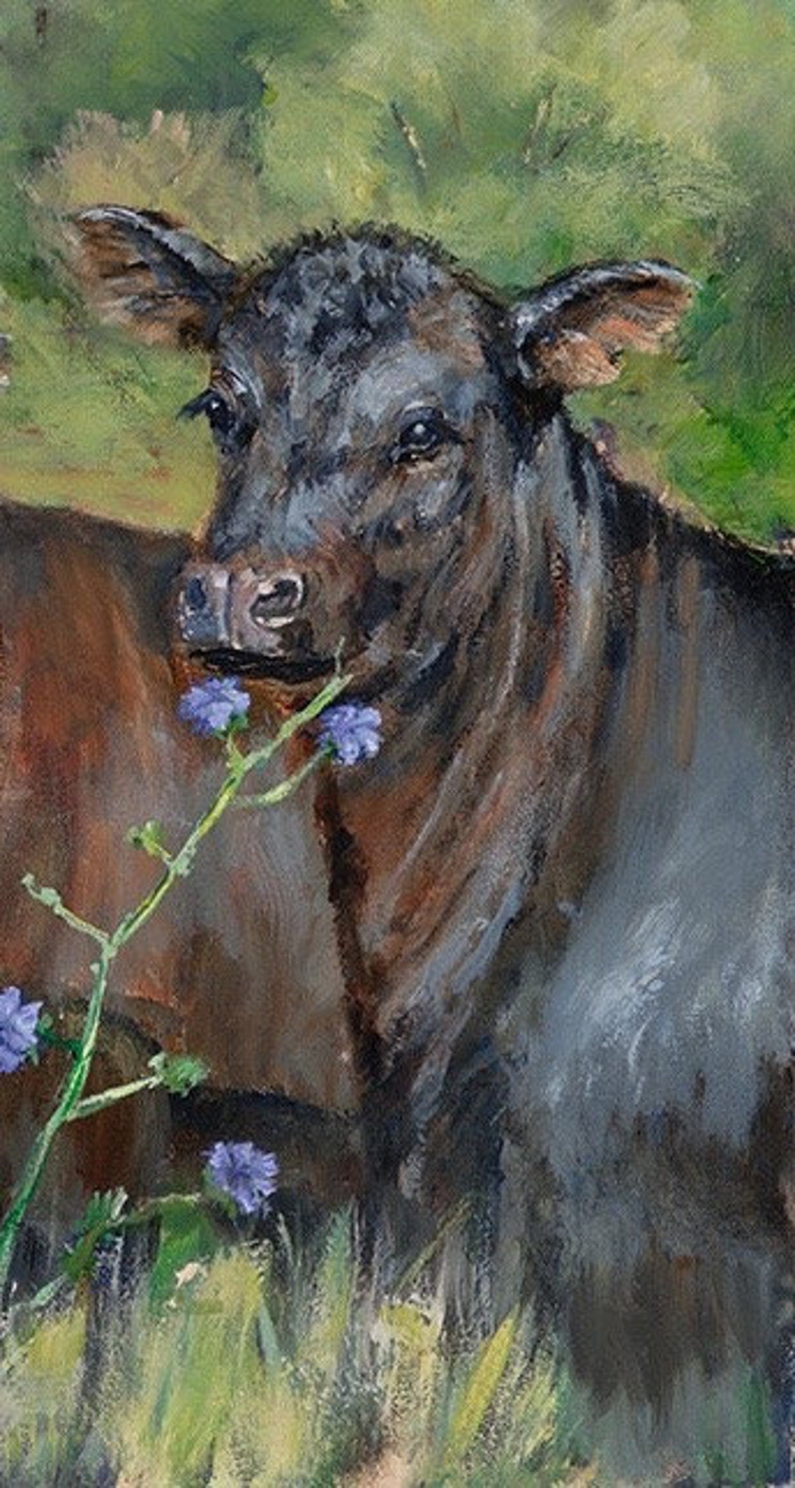 Cattle Prints Cow Paintings Livestock Prints Calf Art - Etsy
