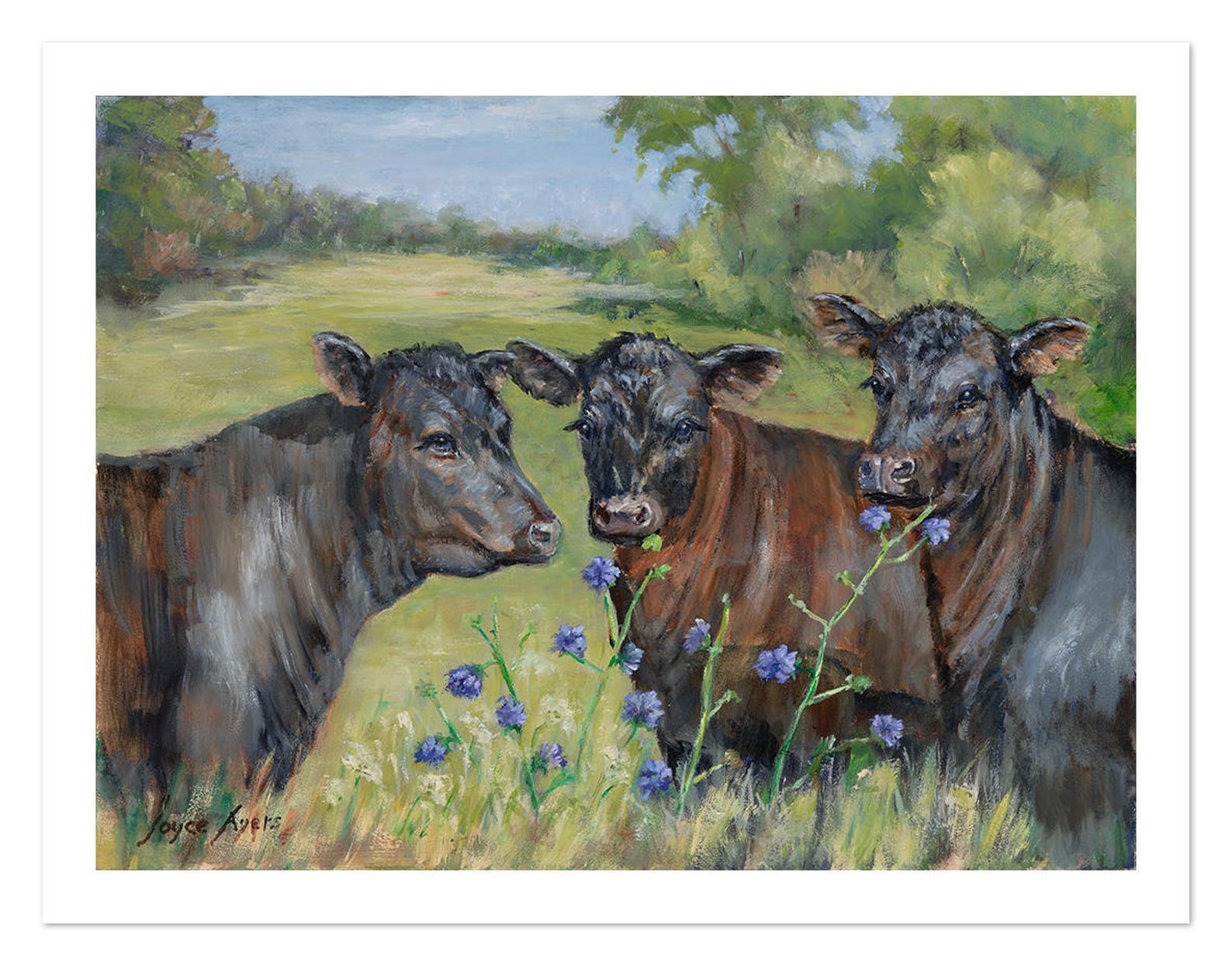 Cattle Prints- Cow Paintings-livestock Prints- Calf Art Prints-cattle ...