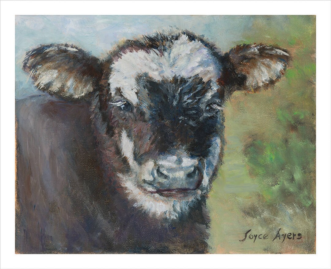 Black and White Calf Giclée Print: Farmhouse Animal Portrait, 10x8 ...