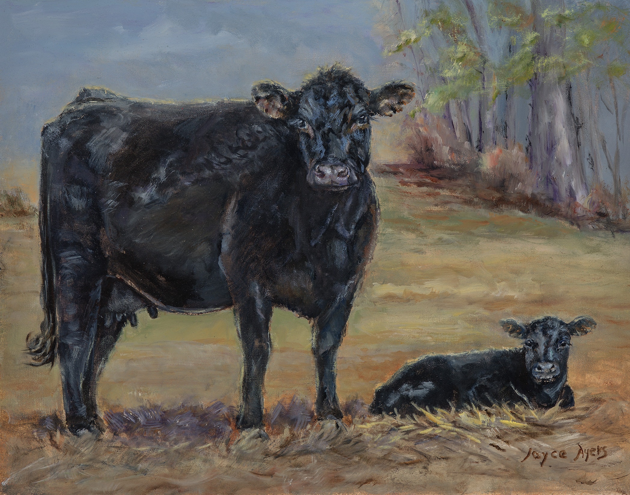 A Black Cow Art Cattle Art Calf Art Cattle Art Prints-cattle Painting ...