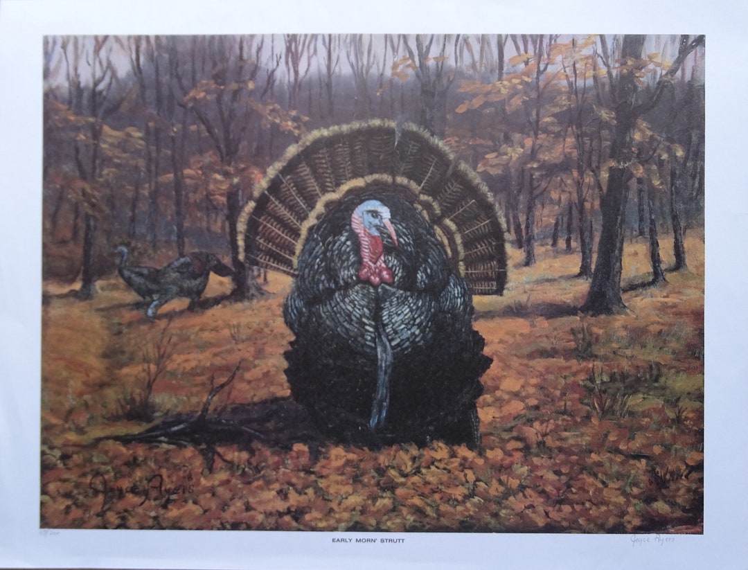 Turkey Art Print-wildlife Art Prints-lithograph Prints-art for Den ...