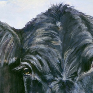 Black Cattle Art- Cow Painting- Cattle Art Print- Giclee Cow Art Print ...