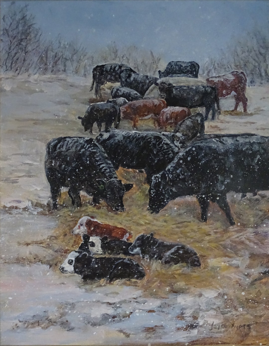 Cattle Giclee Art Print: Calves in Winter Landscape - 14x11 Inches - Etsy