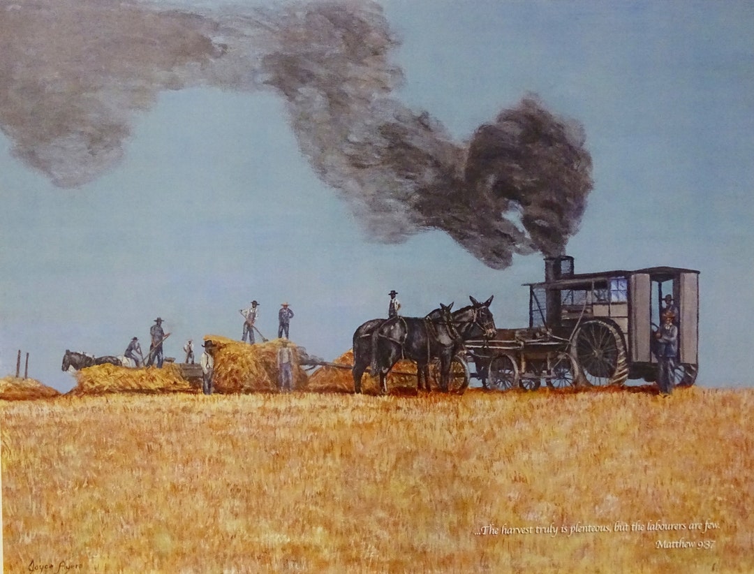 A Mule Art Print- Landscape With Horses Art Prints- Art Prints of ...