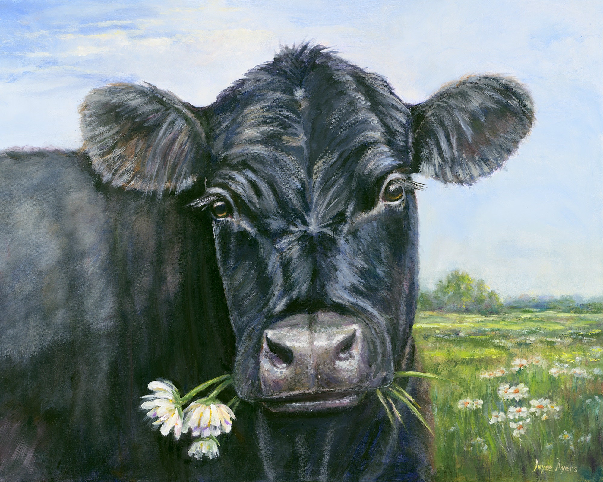 Black Cattle Art- Cow Painting- Cattle Art Print- Giclee Cow Art Print- Fine Art Cow Print-black ...