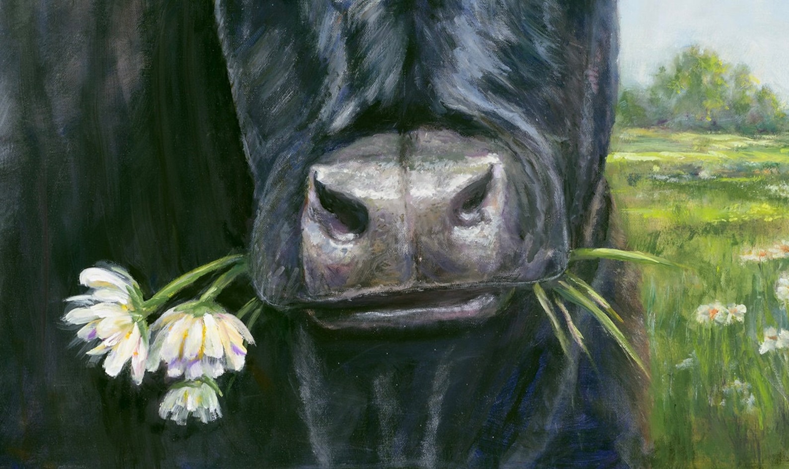 Black Cattle Art- Cow Painting- Cattle Art Print- Giclee Cow Art Print- Fine Art Cow Print-black ...