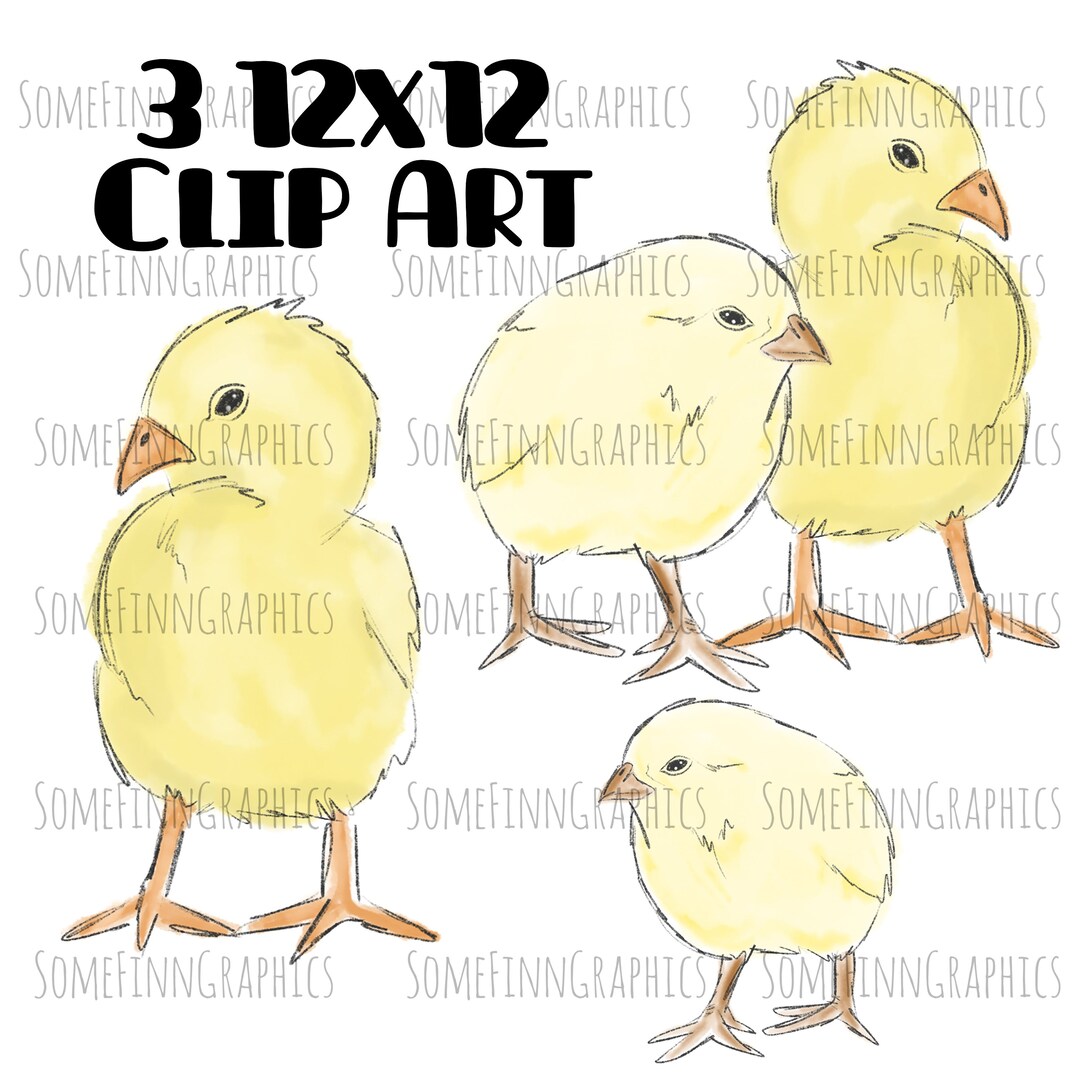 Baby Chicks Clipart Bundle - Etsy