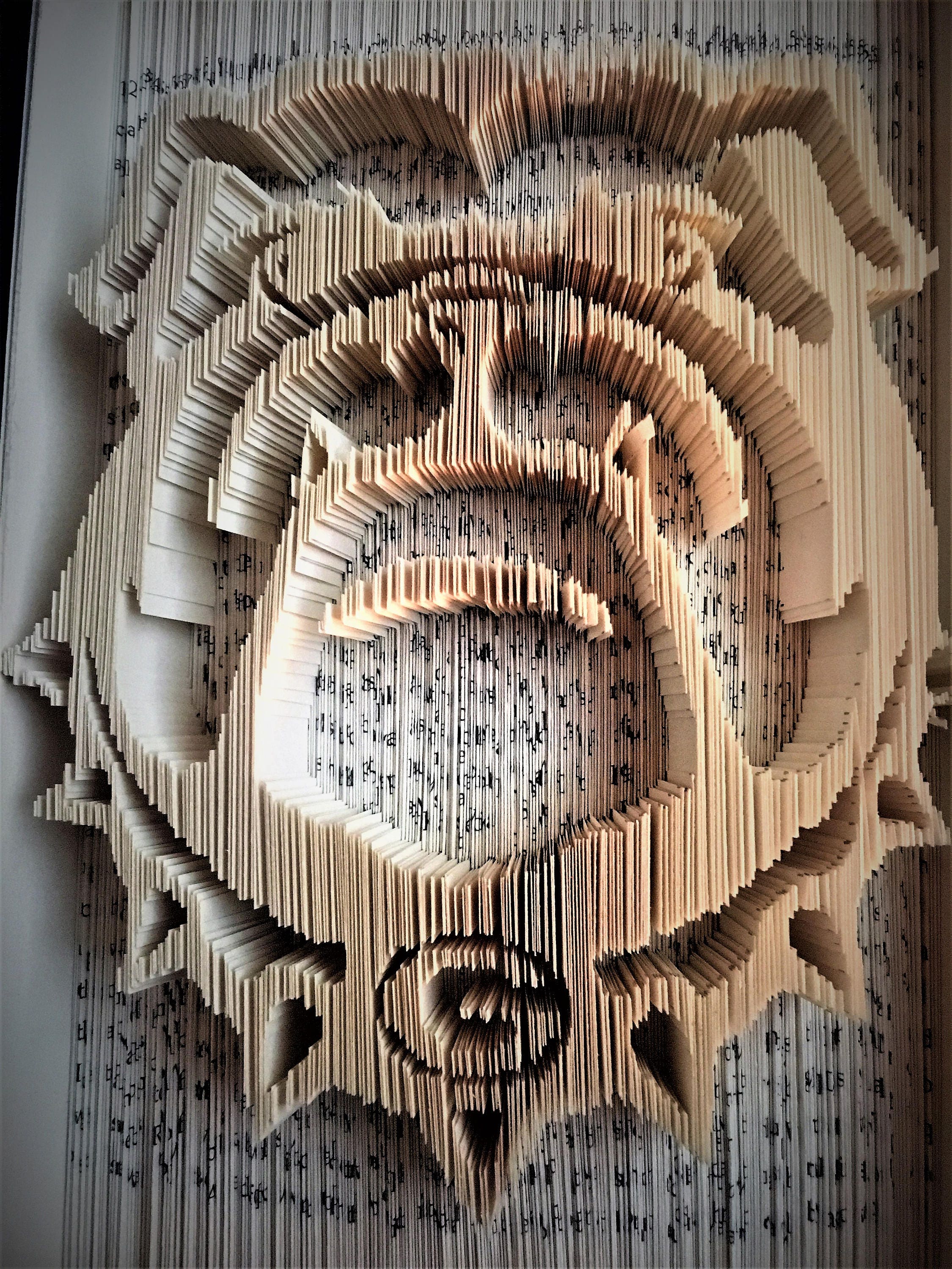 UGA Bulldog Book Folding PATTERN ONLY - Etsy