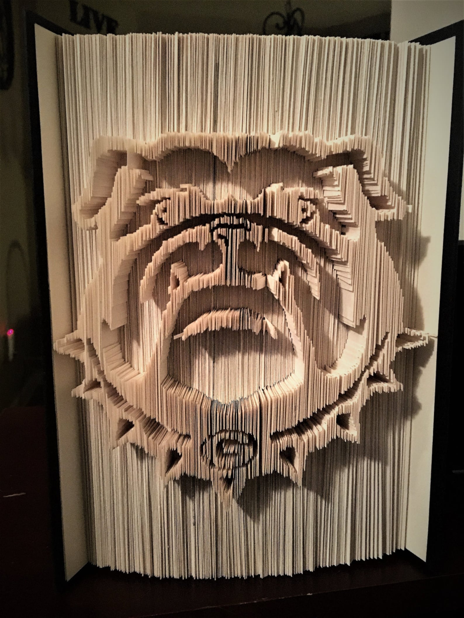 UGA Bulldog Book Folding - Etsy