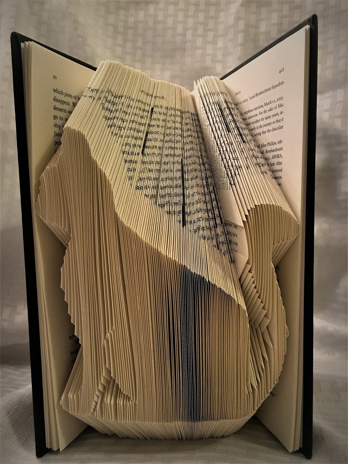 Cat Book Folding | Etsy