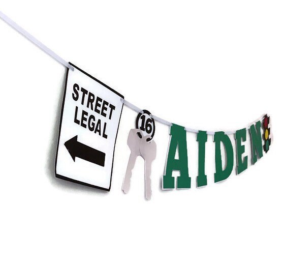 Driver License Birthday Banner road Signs road Sign - Etsy