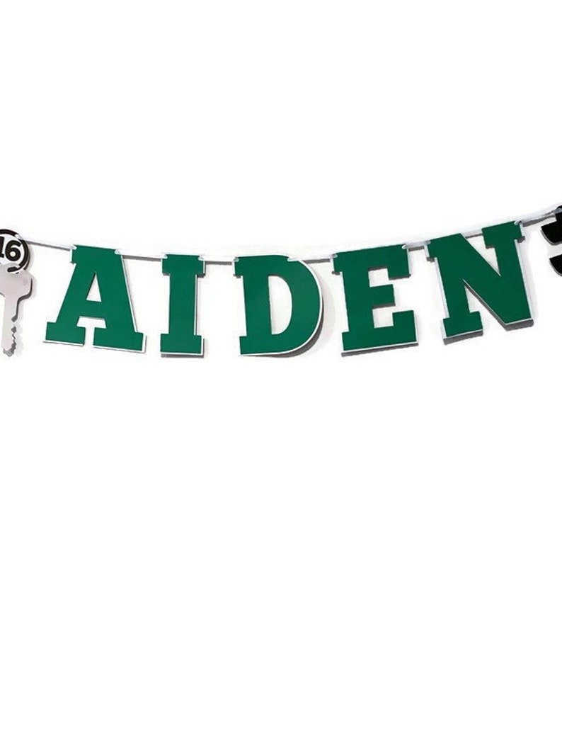 Driver License Birthday Banner road Signs road Sign - Etsy